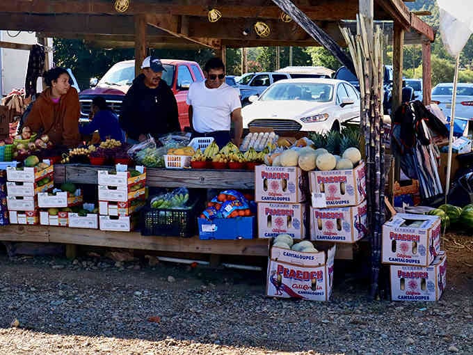Farm-fresh produce displayed like edible artwork, where cantaloupes and cucumbers get the respect they deserve every weekend.