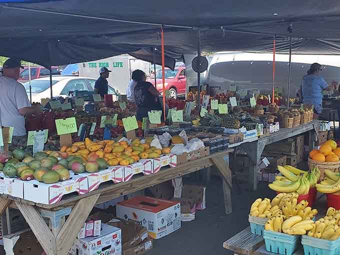 Farm-fresh abundance spills across wooden tables where summer squash and ripe tomatoes outshine any supermarket aisle.
