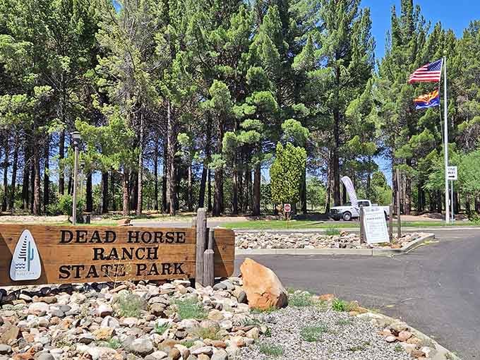 Dead Horse Ranch State Park offers nature without the drama&mdash;just peaceful trails and Arizona's rare gift of water.