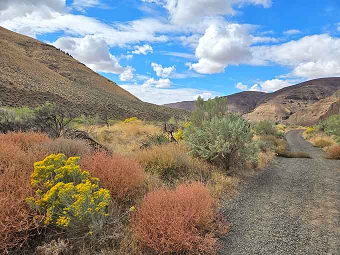 Desert trails wind through sagebrush country where the landscape shifts from rust to gold depending on the light and season.