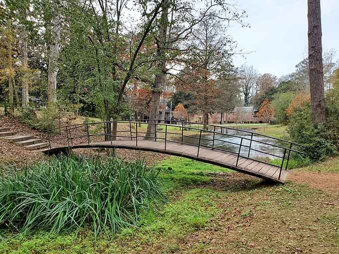 Academy Springs Park proves that sometimes the best adventures are the ones hiding in your own backyard.