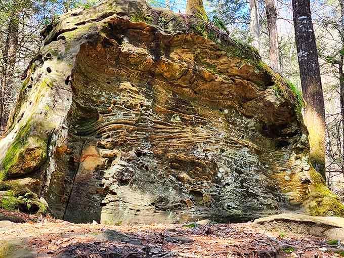 This ancient boulder has been standing here longer than anyone's been complaining about their back, and it's magnificent.