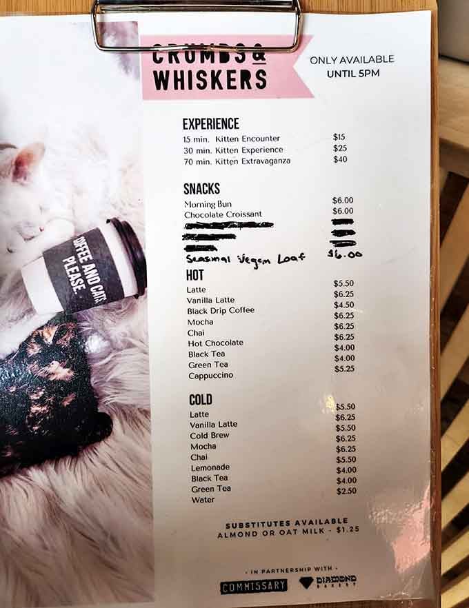 Your ticket to happiness comes in three time increments, each promising more whiskers and purrs than you knew you needed.