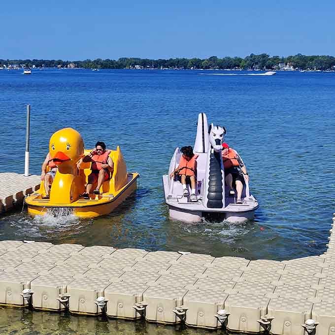 Giant duck versus majestic swan in the ultimate paddleboat showdown nobody knew they needed to witness today.