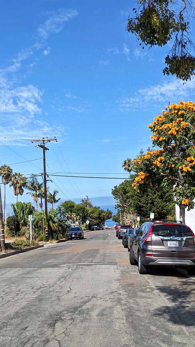 Those flowering trees framing the ocean view? Del Mar's way of saying "welcome to paradise, casual style."