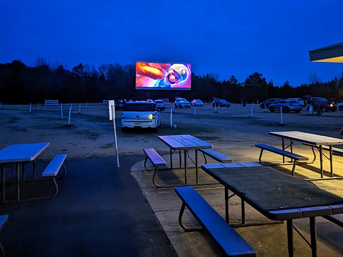 Movie night gets an upgrade when your dining room includes picnic tables and an actual night sky overhead.