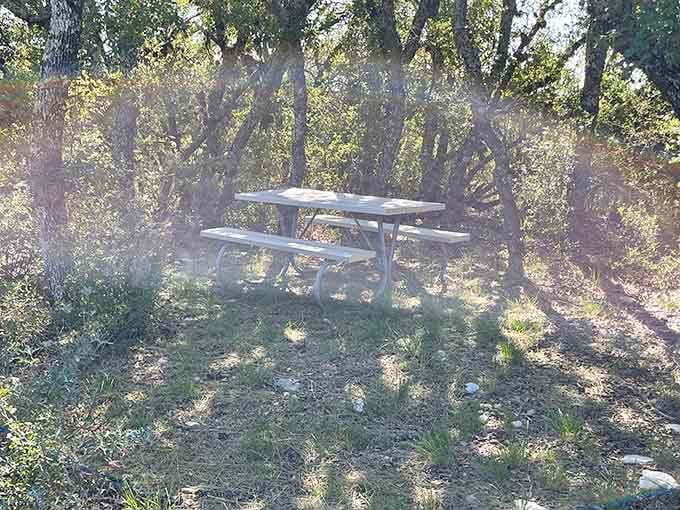 Even the picnic tables here come with a view that makes your backyard setup look positively pedestrian by comparison.
