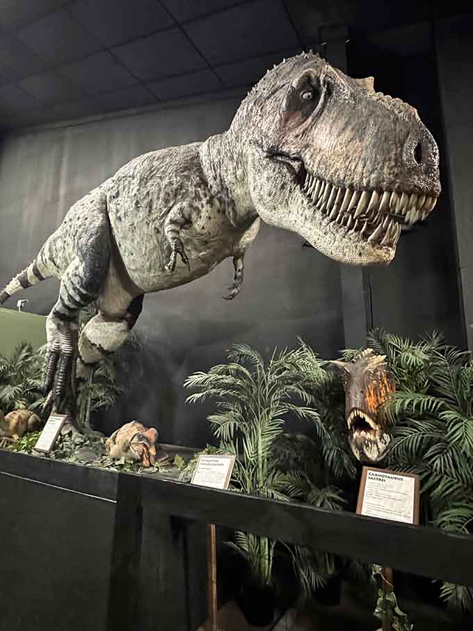 This T-Rex has been perfecting that intimidating stare for 65 million years, and it absolutely shows in person.
