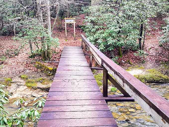 Wooden bridges over tranquil waters make you feel like you're starring in your own adventure movie.
