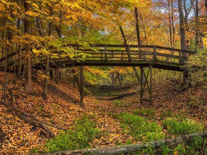 This footbridge looks like it was designed specifically for autumn Instagram posts and peaceful contemplation.