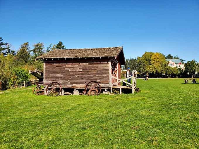 Village Green Park: where community gatherings happen and stressed-out mainlanders remember what grass feels like under their feet.