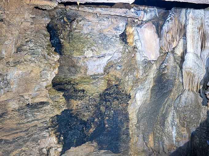 These limestone walls tell stories millions of years in the making, each layer a chapter in geological history.