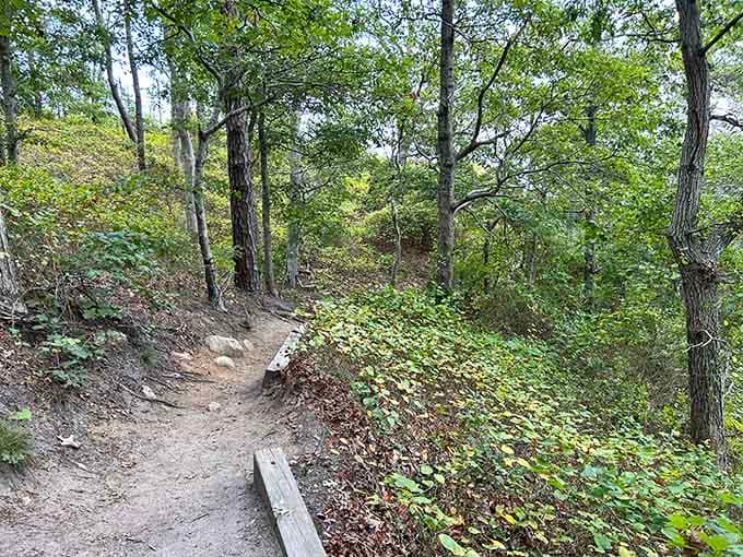 The woodland path winds downward like an invitation, promising coastal treasures just beyond the next turn through the trees.