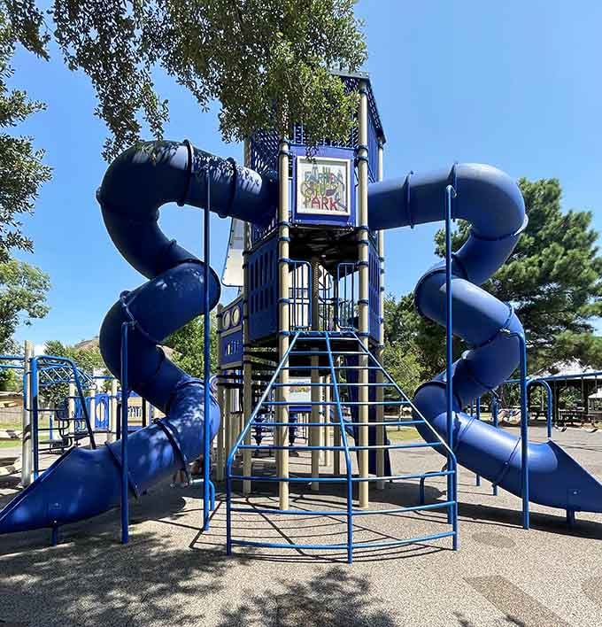 These aren't your average playground slides &ndash; they're the kind that make adults wish they were kids again.