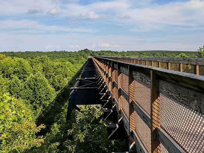 Walking 125 feet above the treetops on High Bridge Trail beats any theme park thrill ride, guaranteed.