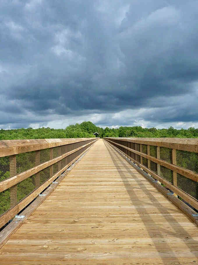 The High Bridge Trail stretches ahead like nature's own runway, minus the fashion show and plus actual peace.