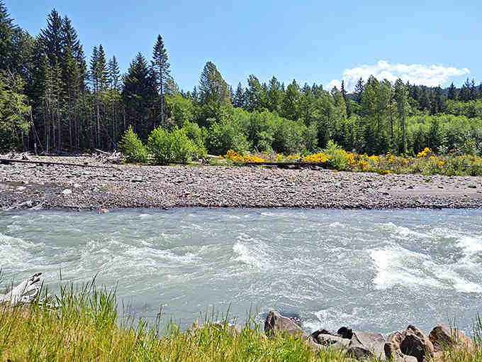 The White River carries mountain memories downstream, its milky-blue waters telling stories older than your family tree.