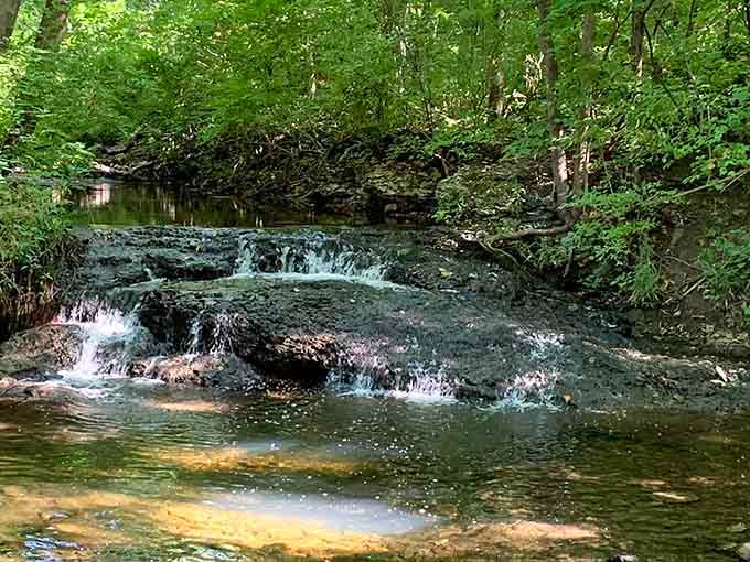 These gentle cascades prove that Indiana's hidden streams deserve their own nature documentary series.