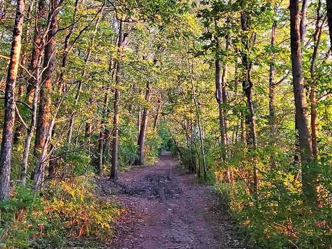 Every great adventure starts with a path like this, leading somewhere your GPS never suggested.