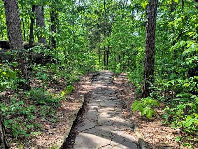 The paved pathway winds through towering trees, making this adventure accessible for everyone from toddlers to grandparents.
