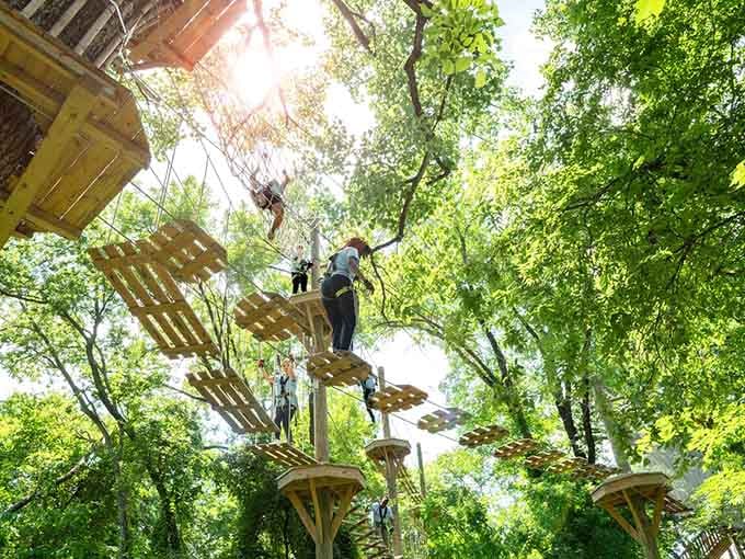 Navigating treetop obstacles requires focus, balance, and accepting that squirrels are definitely judging your technique.