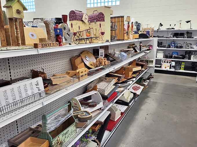 One person's decluttering project becomes your home's next conversation starter, beautifully displayed and waiting for adoption.