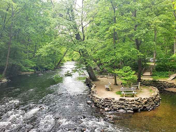 The Musconetcong River flows peacefully through Stephens State Park, nature's own stress-relief prescription without the copay.