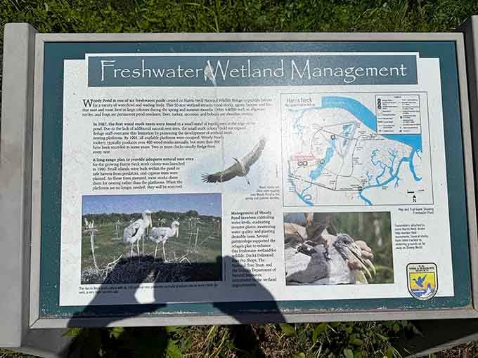 Educational signs that actually make you want to read them, a rare achievement in the signage world.