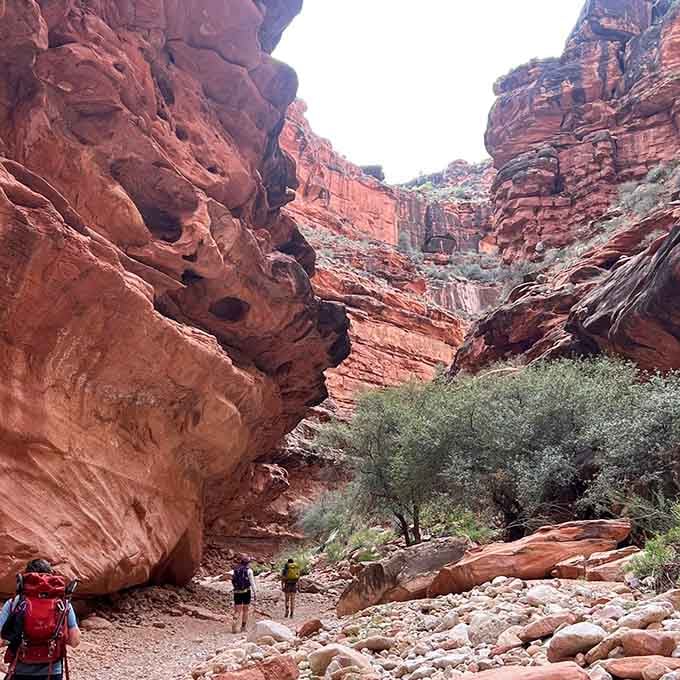 These sculpted sandstone formations have been millions of years in the making, and they're showing off every bit of it.