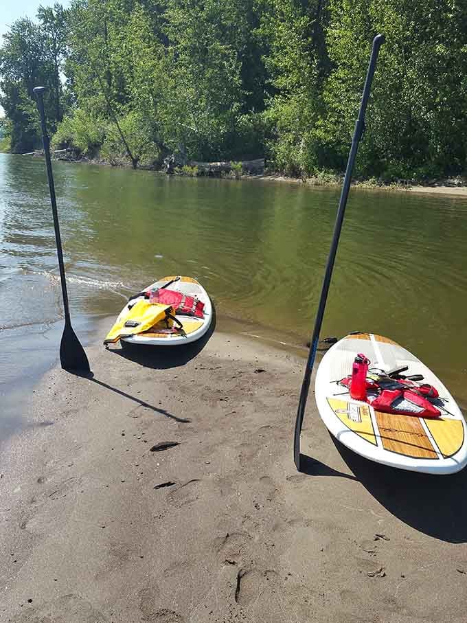 Two paddleboards rest on the shore, ready to transform your ordinary Tuesday into a Columbia River adventure.