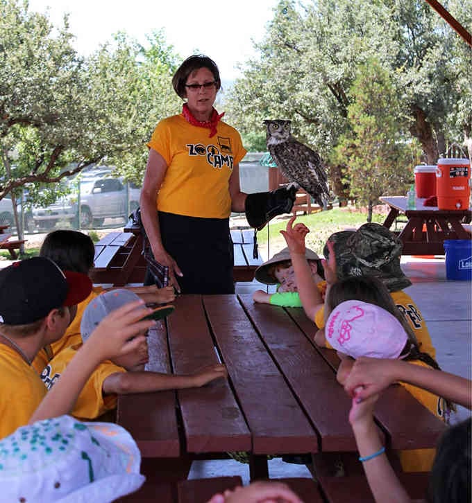 Educational programs here mean actual learning with real raptors, not just another boring PowerPoint presentation about nature.