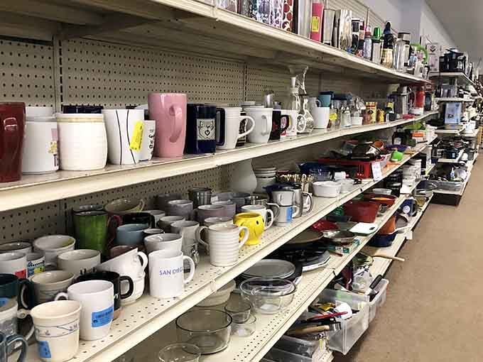 More mugs than a coffee lover's fever dream, each one ready to become your new favorite.