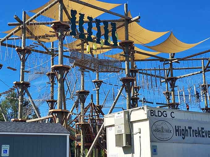 Those shade sails overhead prove someone thought about Washington's occasional sunny days, bless their optimistic hearts.