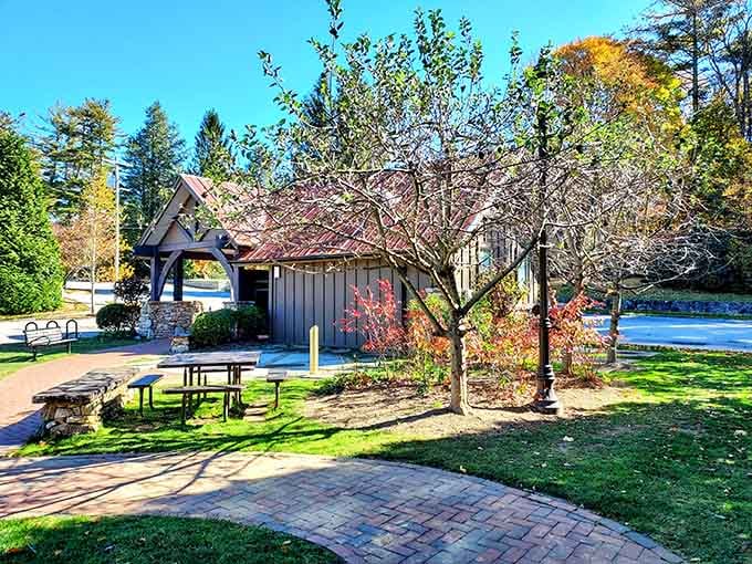 Kelsey-Hutchinson Park: where picnic tables meet mountain air and your stress levels drop faster than autumn leaves.