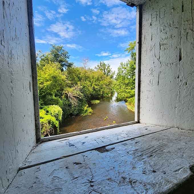 Framed perfectly by weathered wood, the Zumbro River flows like a living postcard beneath your feet.