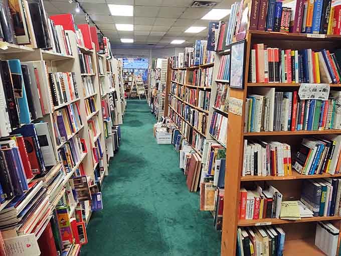 These narrow aisles packed floor-to-ceiling with books create the most delightful kind of claustrophobia imaginable.
