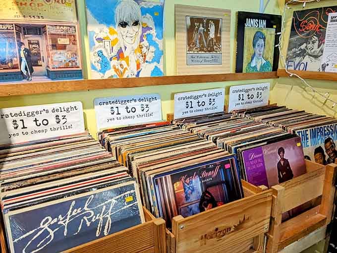 The cratedigger's delight bins are where budget-friendly treasures wait patiently for someone to give them a new home.