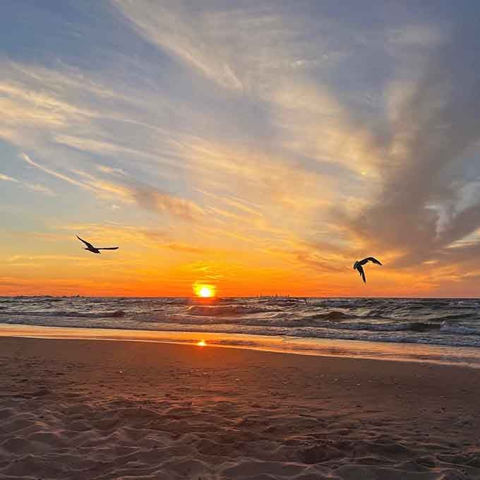 Sunset so stunning it belongs on a postcard, except this one's real and waiting for you.