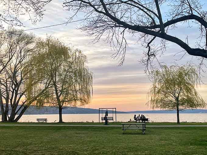 Stewart Park's lakeside serenity at sunset, where willow trees frame moments that make you forget your phone exists.