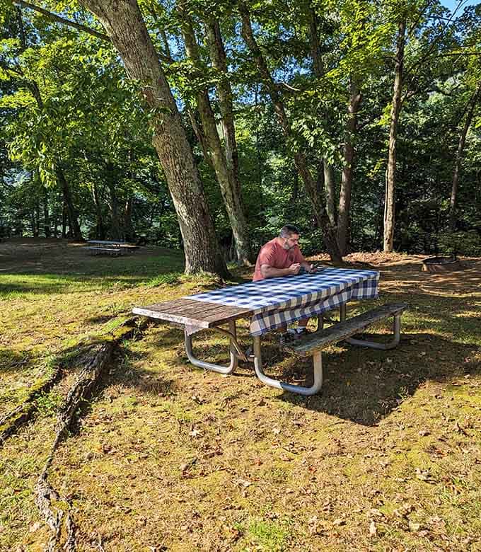 This picnic table has hosted more sandwiches and family debates than a Thanksgiving dinner, minus the awkward political discussions.