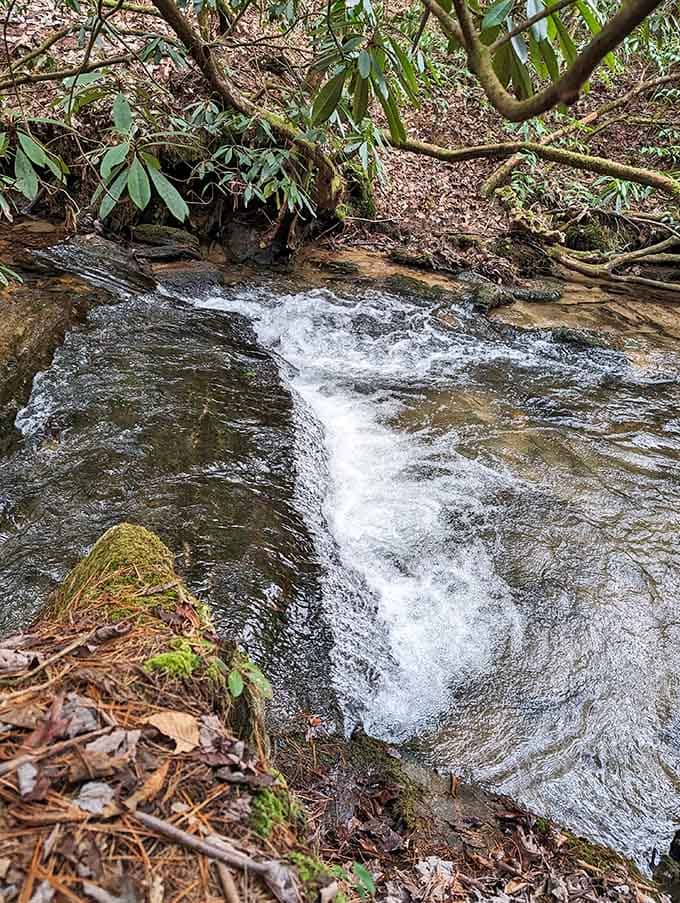 King Creek doesn't just flow, it performs a liquid ballet that's been running for thousands of years without intermission.