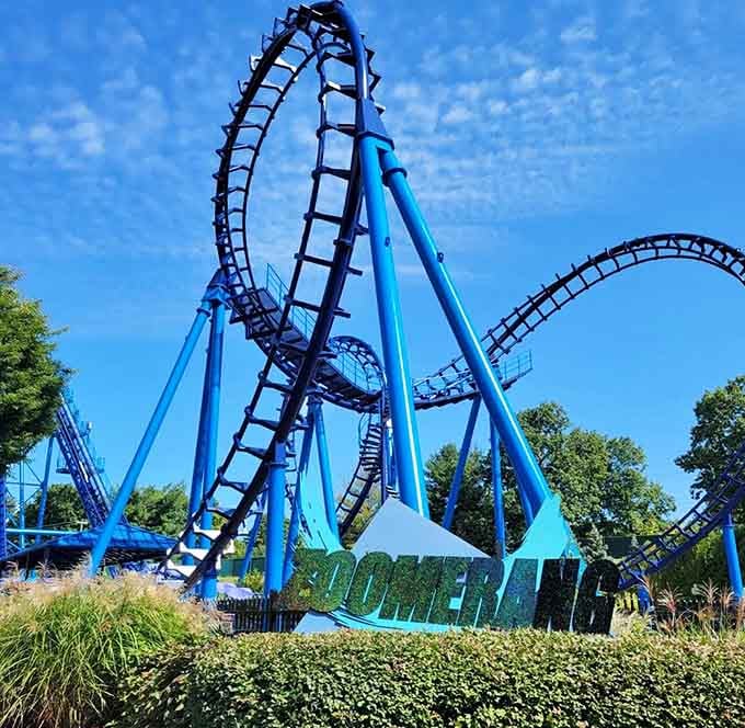 Boulder Dash twists through the trees like it's auditioning for an extreme nature documentary about gravity-defying adventures.
