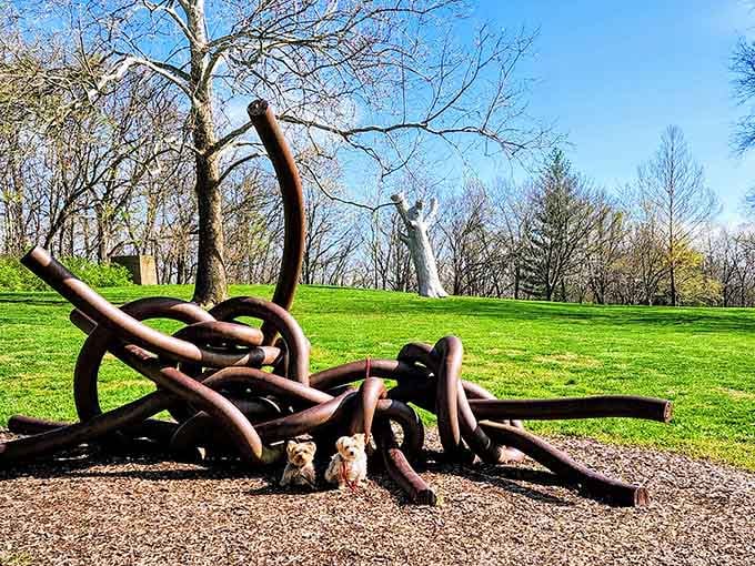 These oversized chain links prove that even industrial materials can tie themselves into knots trying to be beautiful.