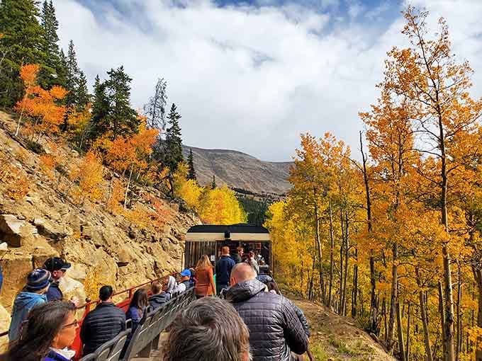 The Leadville Railroad winds through autumn gold that looks like Mother Nature showing off her favorite paint colors.