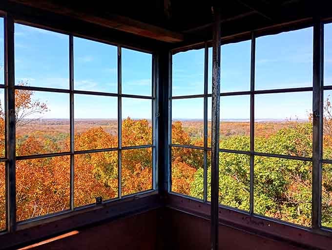 Fall's paint palette viewed from the fire tower makes you wonder why anyone bothers with expensive landscape art.