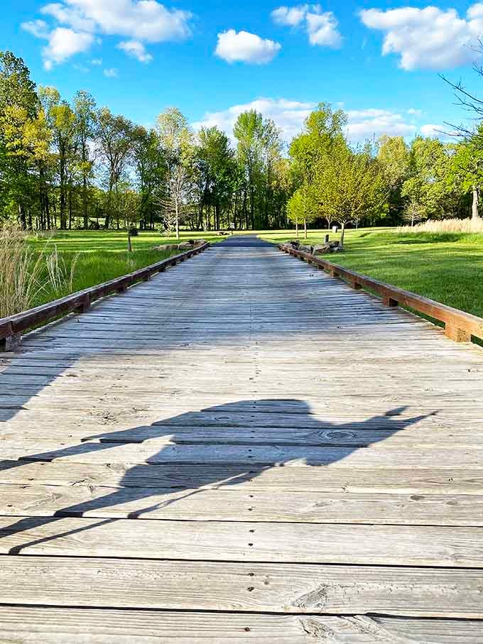 This boardwalk stretches into the distance like a wooden invitation to leave your worries behind for an afternoon.