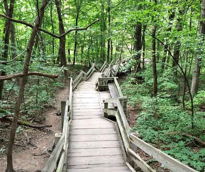 These zigzagging wooden stairs descend into the canyon like something from an Indiana Jones adventure, minus the boulders.