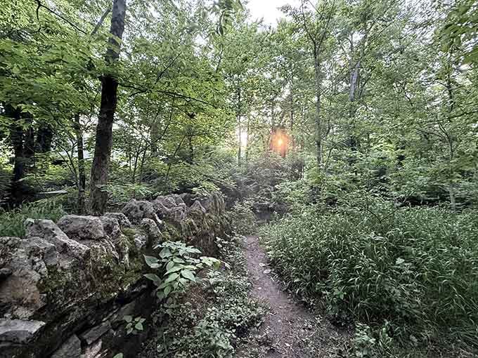 Walter Bradley Park offers shaded trails where nature does all the talking and your phone can finally take a break.