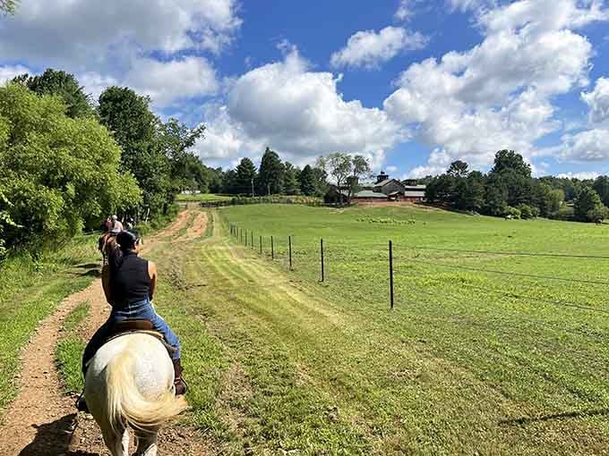 Trail riding through these rolling green pastures offers views that make you forget your phone exists for a while.