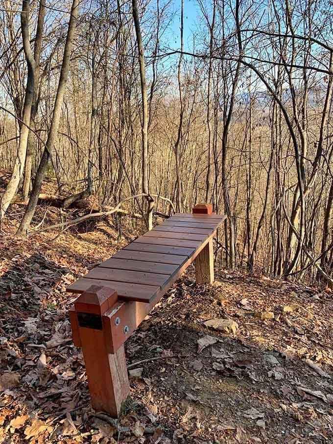 Even the trail benches here come with a view, because why rest your weary legs without something spectacular to contemplate?